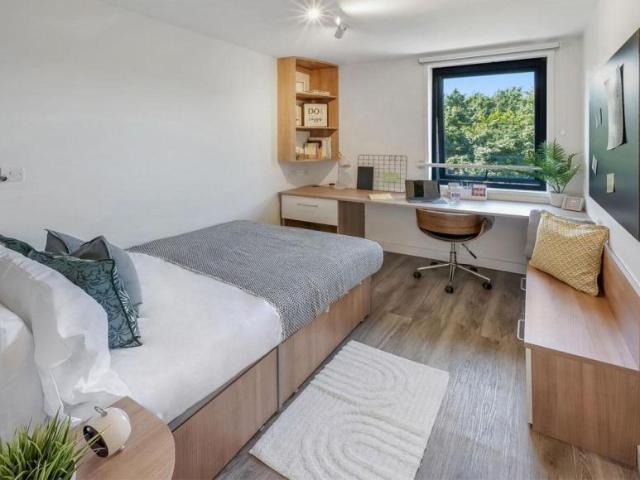 For Rent 87 Bedroom Shared Living/roommate London London DS90564035