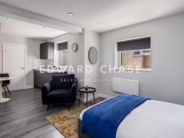 Nice 1 BA Studio flat for rent in Perth Road, Gants Hill, IG2