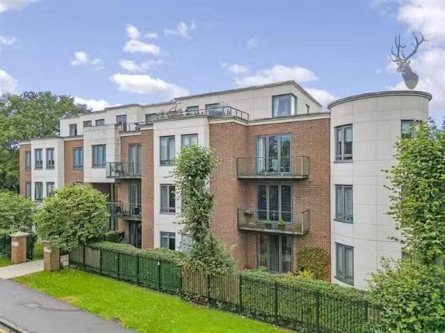 Cozy 1 BA 1 bedroom flat for rent in Whitehall Road, Woodford.