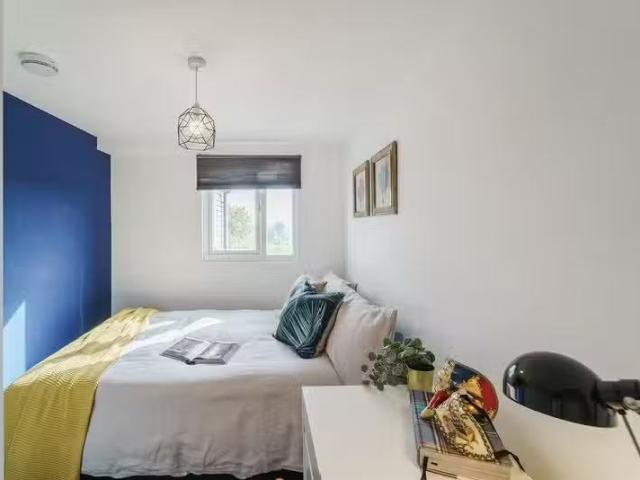 Cozy 1 BA 1 bedroom house share for rent in Centaur Road, Earl.