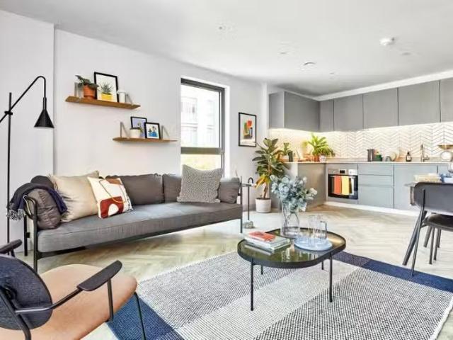 Charming 1 BA 3 bedroom apartment for rent in 423 Rosewood, Bo.