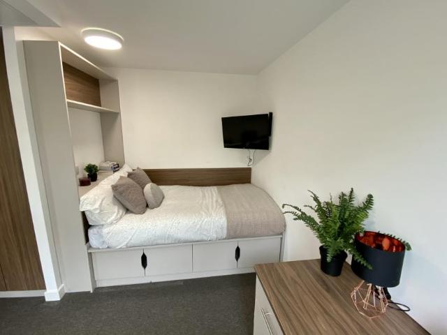 For Rent 1 Bedroom Apartment Five Ways West Midlands DS99367340