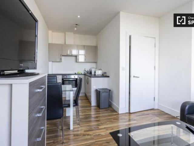 For Rent 1 Bedroom Apartment London London DLS97943950