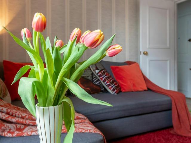 For Rent 1 Bedroom Apartment London London DS72901044