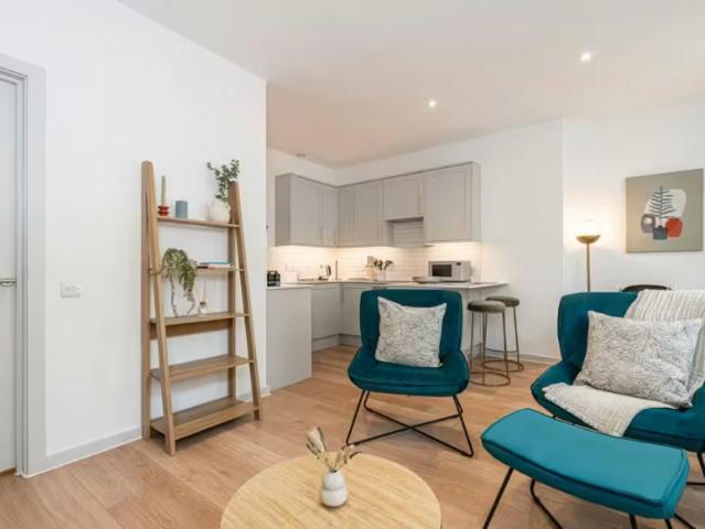 For Rent 1 Bedroom Apartment London London DS100333628