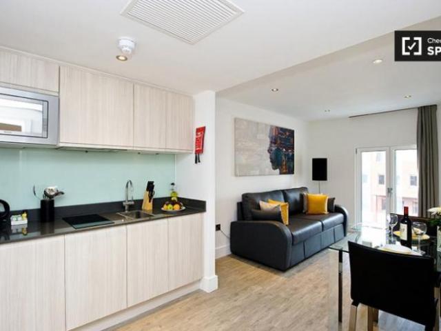 For Rent 1 Bedroom Apartment London London DS101735213