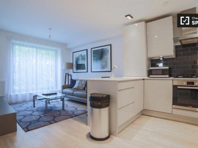 For Rent 1 Bedroom Apartment London London DS101805341