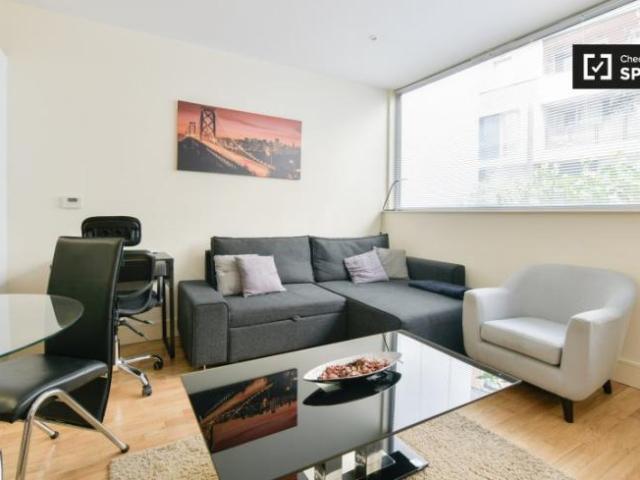 For Rent 1 Bedroom Apartment London London DS101841058