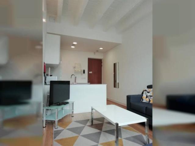 For Rent 1 Bedroom Apartment London London DS101846419