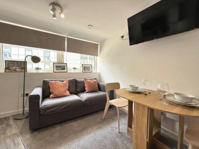 For Rent 1 Bedroom Apartment Sheffield Sheffield DS99214026
