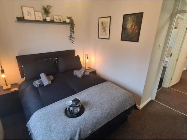 For Rent 1 Bedroom Apartment Witham Witham DLS98857735