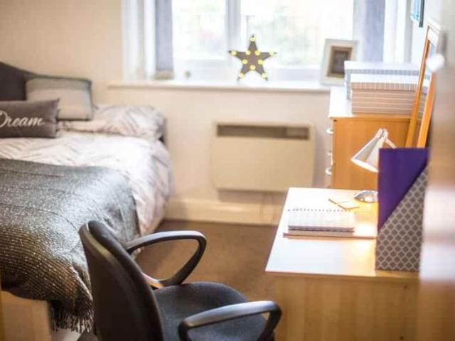 For Rent 1 Bedroom Shared Living/roommate Manchester Manchester DS97831523
