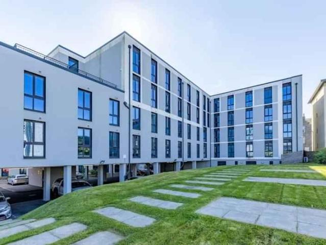 For Rent 1 Bedroom Shared Living/roommate Aberdeen Aberdeen DS97763600