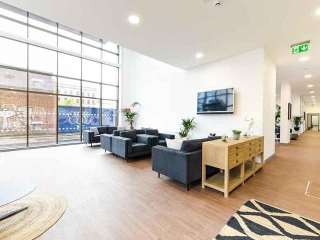 For Rent 1 Bedroom Shared Living/roommate Belfast Belfast DS97828043