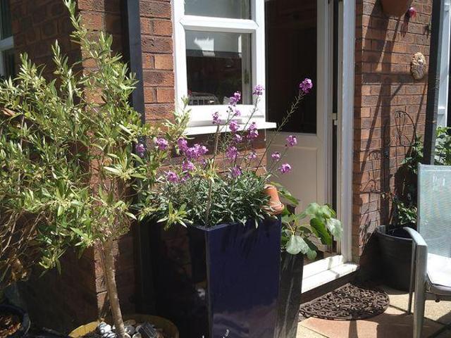 For Rent 1 Bedroom Shared Living/roommate Berkshire England DS96648789