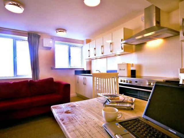 For Rent 1 Bedroom Shared Living/roommate Birmingham Birmingham DS97828621