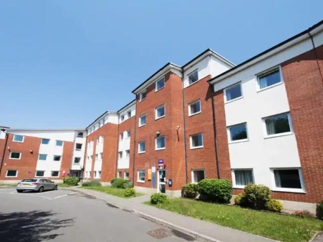 For Rent 1 Bedroom Shared Living/roommate Cardiff Cardiff DS99498241