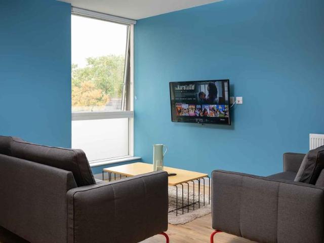 For Rent 1 Bedroom Shared Living/roommate Cardiff Cardiff DS90632735