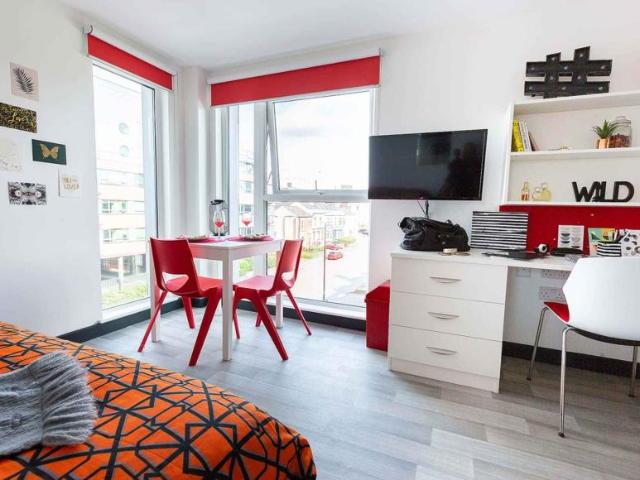 For Rent 1 Bedroom Shared Living/roommate Coventry Coventry DLS97833915