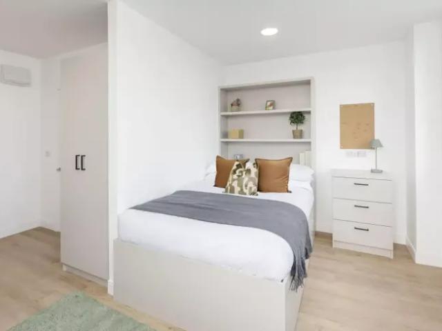 For Rent 1 Bedroom Shared Living/roommate Dundee Dundee DLS99500468