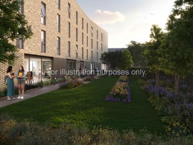 For Rent 1 Bedroom Shared Living/roommate Edinburgh Edinburgh DS99459402
