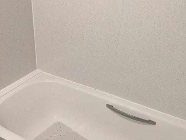 For Rent 1 Bedroom Shared Living/roommate Girvan Girvan DLS100671978