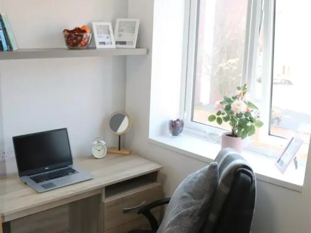 For Rent 1 Bedroom Shared Living/roommate Leicester Leicester DLS97660023
