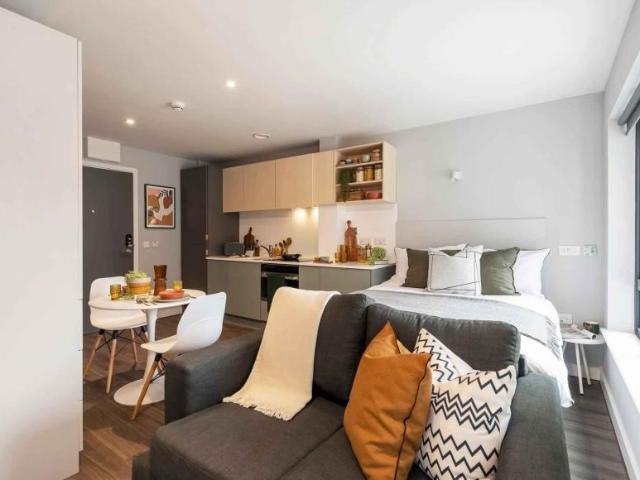 For Rent 1 Bedroom Shared Living/roommate Leicester Leicester DS97767144
