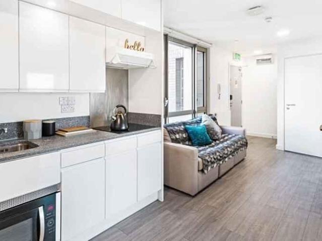 For Rent 1 Bedroom Shared Living/roommate London London DLS97661455