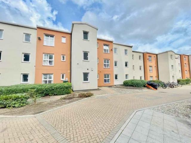 For Rent 1 Bedroom Shared Living/roommate London London DLS99500200