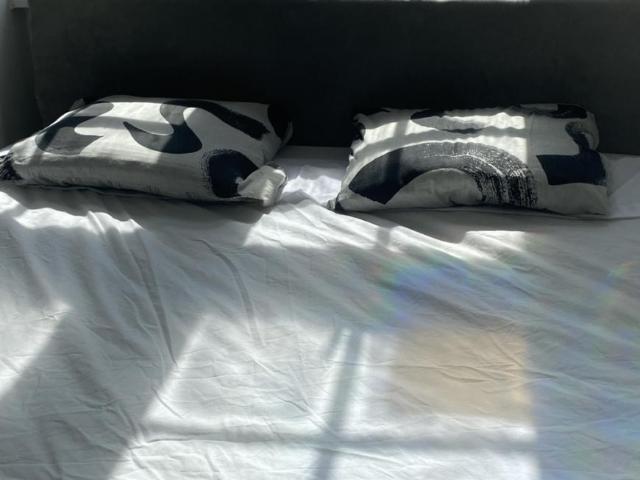 For Rent 1 Bedroom Shared Living/roommate London London DS99383212