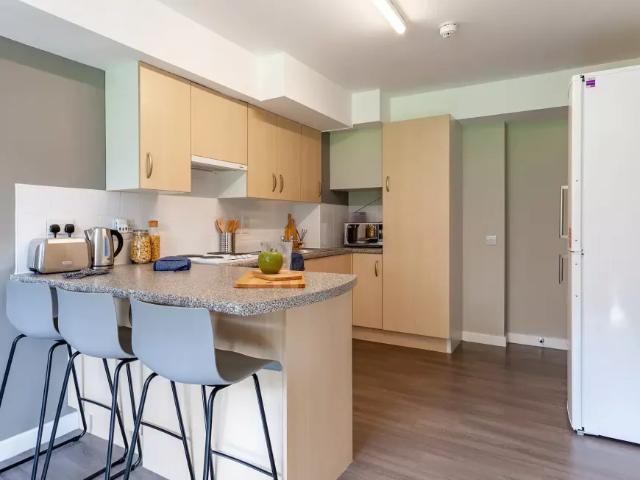 For Rent 1 Bedroom Shared Living/roommate Sheffield Sheffield DLS97765927