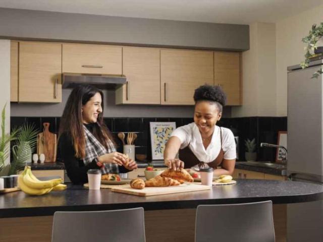 For Rent 1 Bedroom Shared Living/roommate Sheffield Sheffield DLS99490646