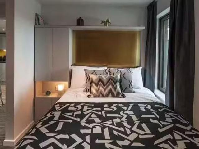 New 1 BR Deluxe Ensuite