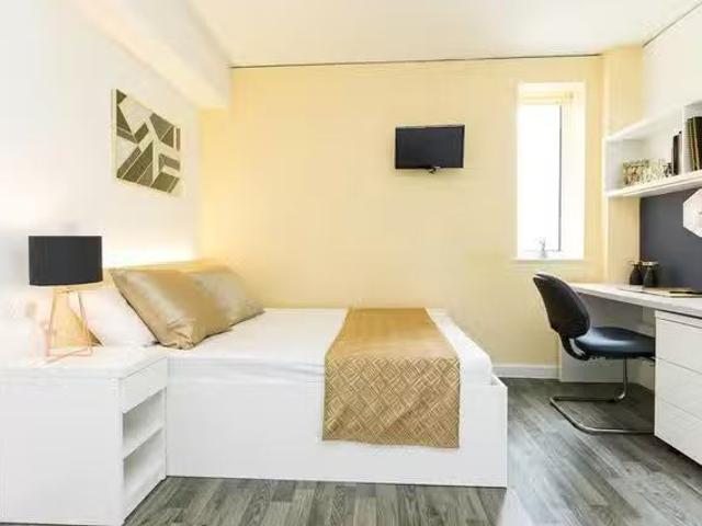 Cozy 1 BR Yara Central Holland Park Standard