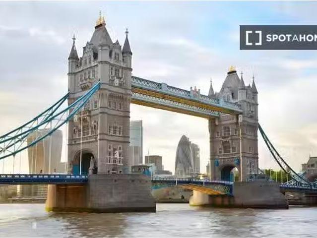 Cheap 1 BR 1 bedroom flat for rent in Billingsgate, London