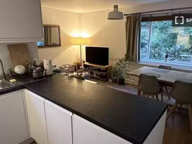 Cozy 1 BR 2 bedroom apartment for rent in London