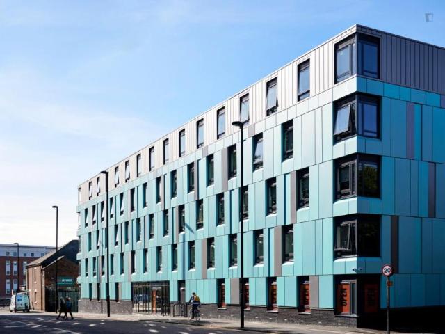 For Rent 20 Bedroom Shared Living/roommate Newcastle Newcastle DS90561339