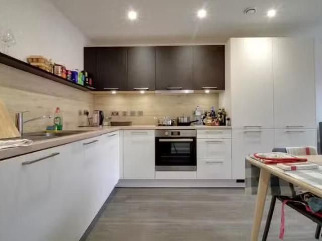 New 2 BA 2 bedroom apartment for rent in Assay Lofts, 62 Charl.
