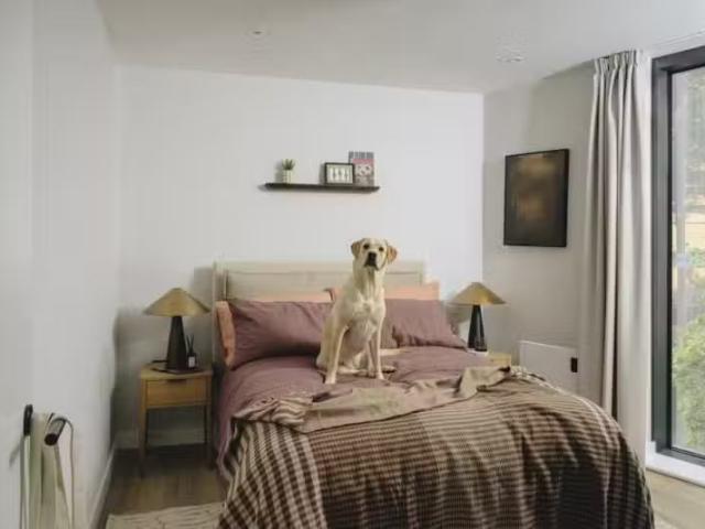 For Rent! 2 BA 2 bedroom flat for rent in One Eastside, 2 Jenn.