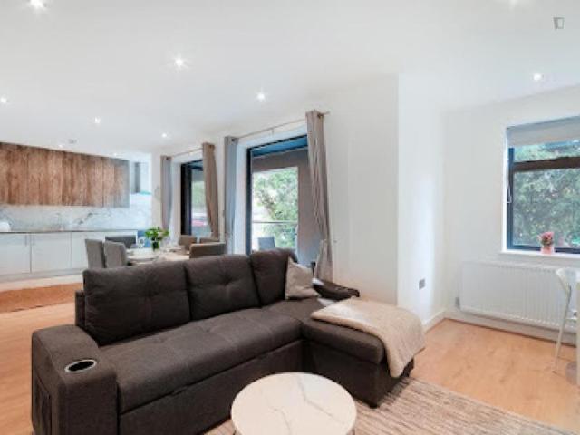 For Rent 2 Bedroom Shared Living/roommate London London DS90561312