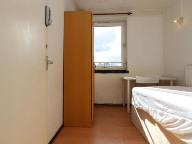 For Rent 3 Bedroom Shared Living/roommate London London DLS90559404
