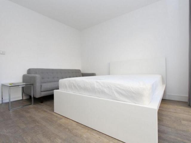 For Rent 3 Bedroom Shared Living/roommate London London DLS90559876