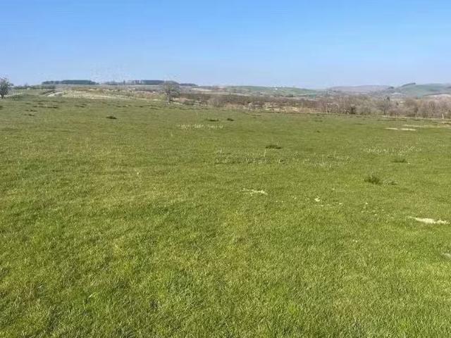 For Rent! Land for rent in Cefnbronllys Farm, Llanddewi, Lland.