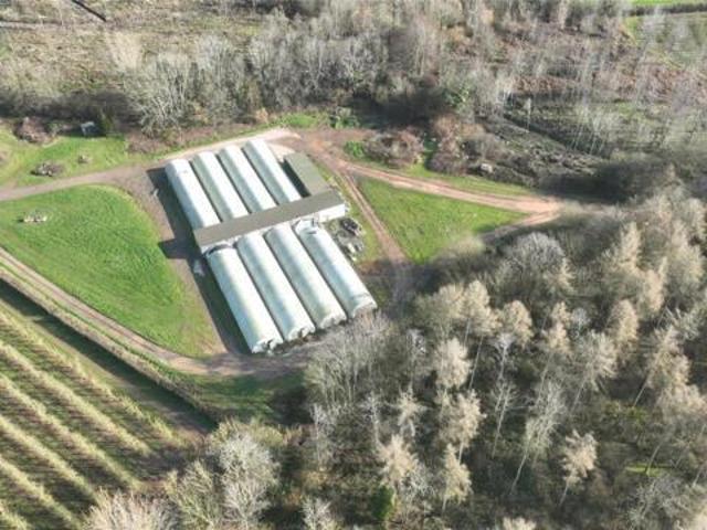 For Rent Land Hereford Herefordshire DS101483206