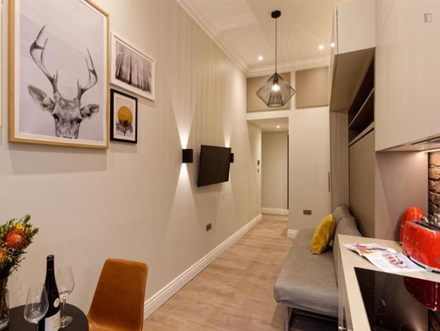 For Rent Shared Living/roommate London London DS90561461