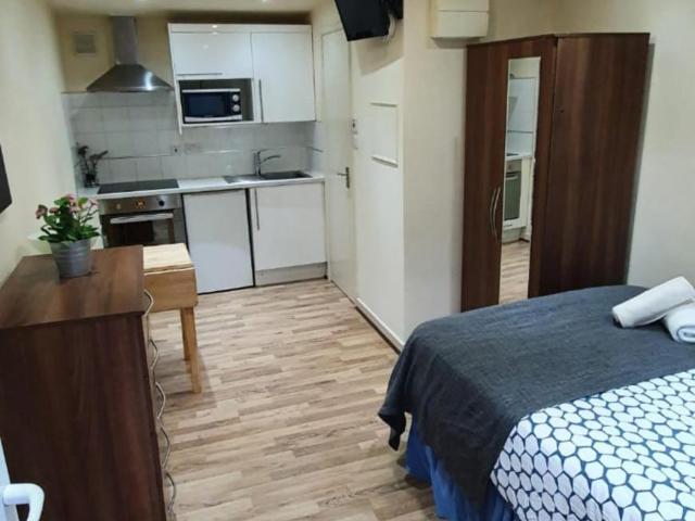 For Rent Shared Living/roommate London London DS90563774