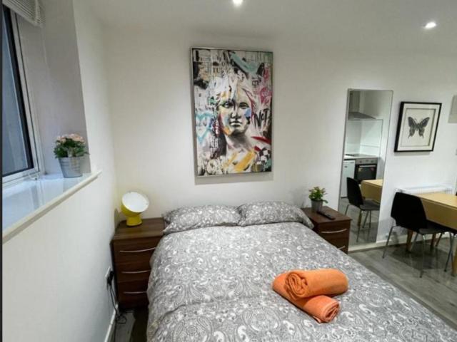 For Rent Shared Living/roommate London London DS90563951