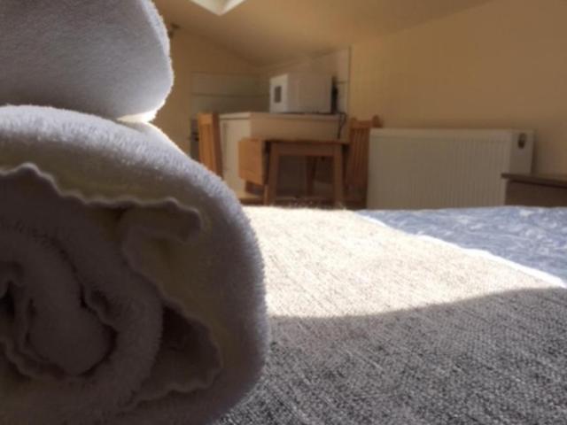 For Rent Shared Living/roommate London London DS90563973