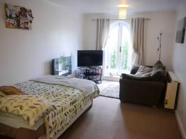 New Studio apartment for rent in Walsingham Close, Hatfield, A.
